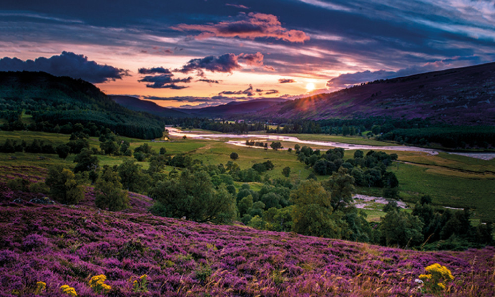 Sustainability & The Environment | Deeside Water