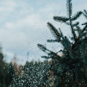 Our Heritage | Deeside Water