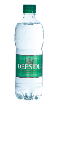 24 x 500ml PET Sparkling | Deeside Water